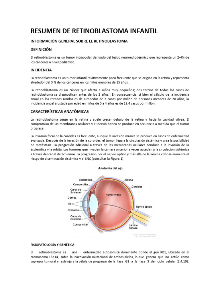 Resumen de Retinoblastoma Infantil | PDF | Quimioterapia | Cáncer