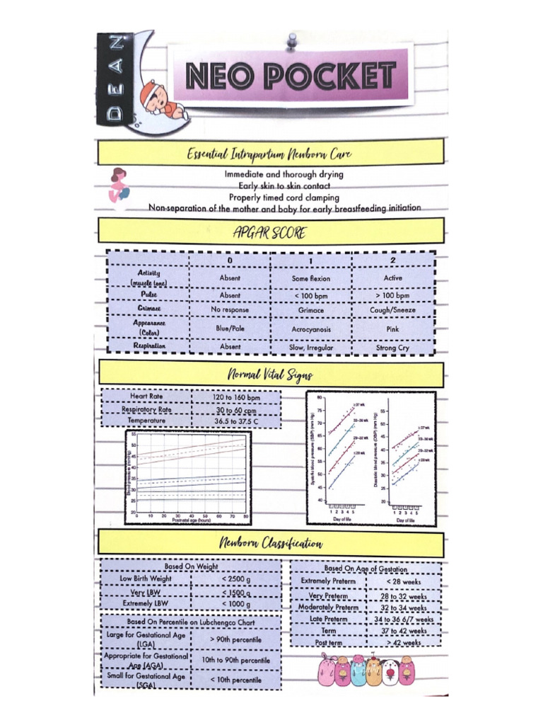 Neo Pocket | PDF