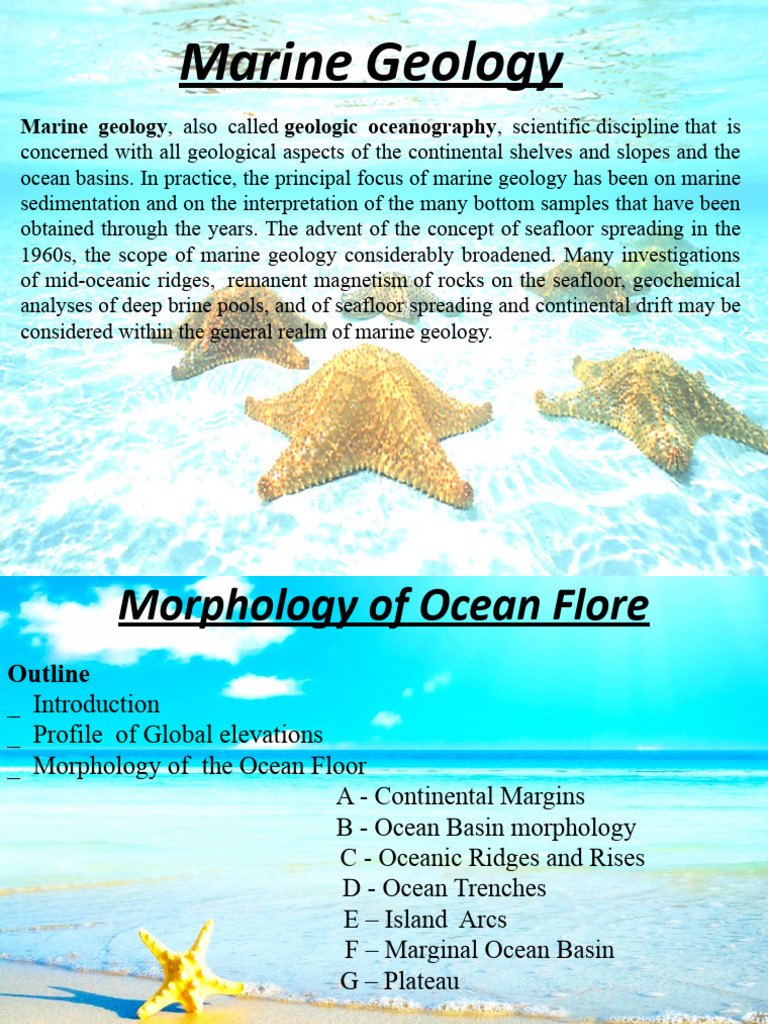 Morphology of Ocean Floor | PDF | Seabed | Continental Shelf