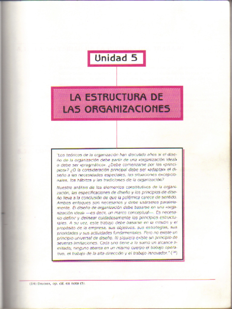 Estructura de Las Organizaciones | PDF