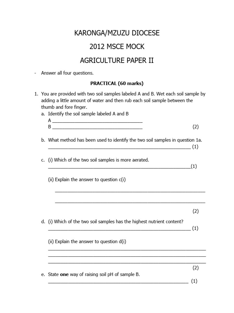 2012_AGRICULTURE_2_KALONGA_-_MZUZU_DIOSCES | PDF | Soil | Root