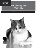 Wild Cat Family List by Lineage - Family | PDF | Felidae | Panthera