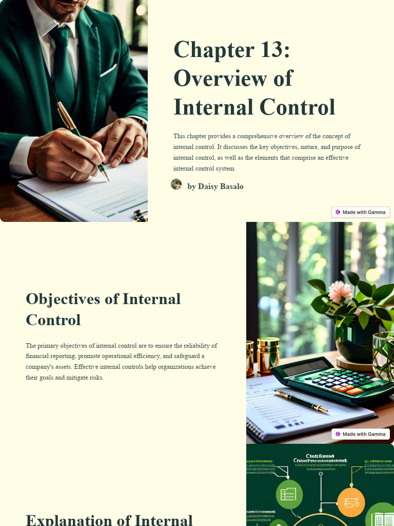 Chapter 13 Overview of Internal Control | PDF | Internal Control | Risk