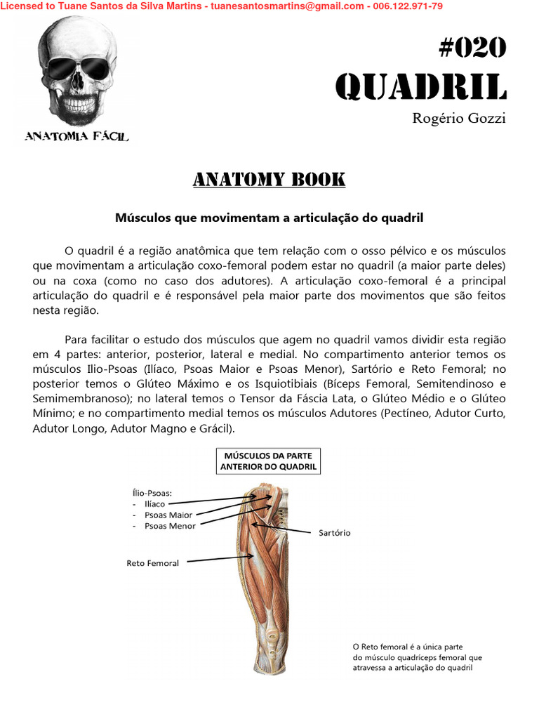 Músculos do Quadril: Anatomia e Funções | PDF | Quadril | Coluna vertebral