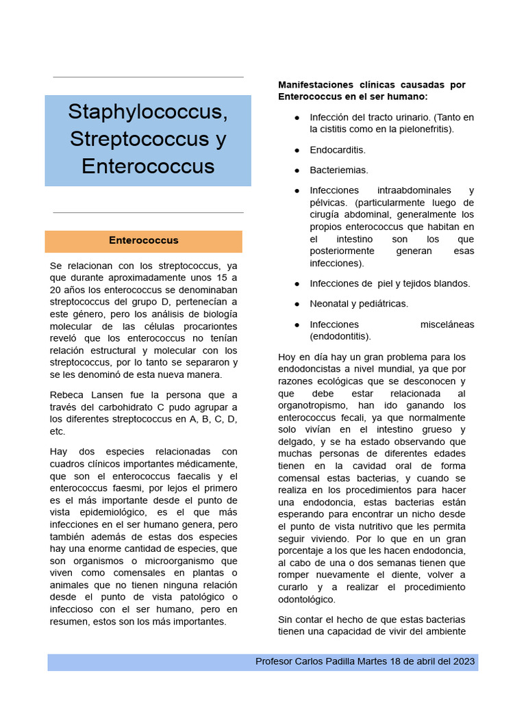 2 Staphylococcus, Streptococcus y Enterococcus CL - 230519 - 214730 | PDF | Las bacterias ...