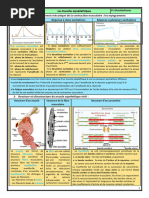 S Zoubair Cours 2PC Biof Muscle 2partie | PDF | Muscle | Contraction du muscle
