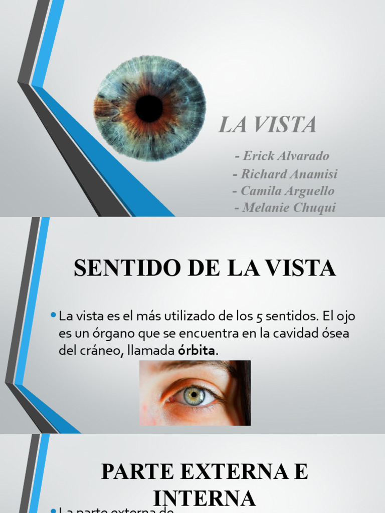 La Vista | PDF | Ojo humano | Percepción visual