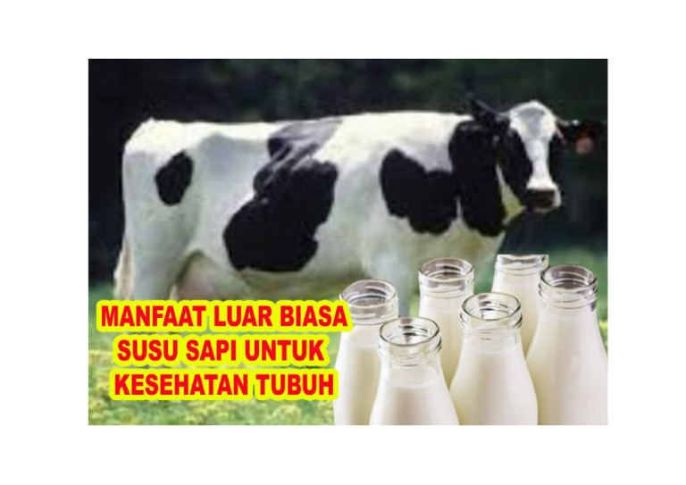 Buku Sapi 4 | PDF