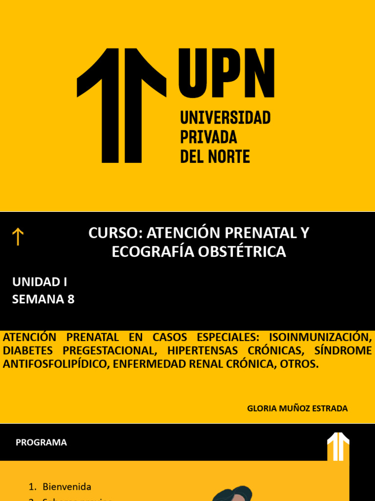 Teoría sem 8 ppt Diabetes, Isoinmunización | PDF | Diabetes | El embarazo