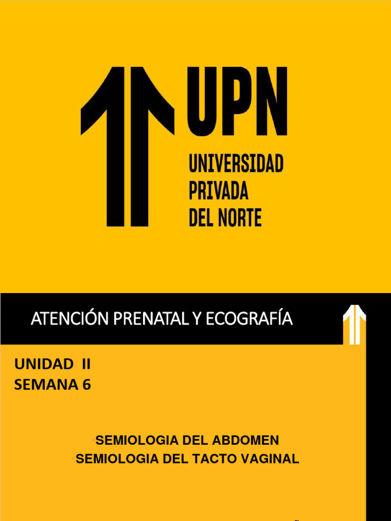 Teoría sem 6 ppt Semiología del abdomen y del tacto vaginal | Descargar gratis PDF | Medicina ...