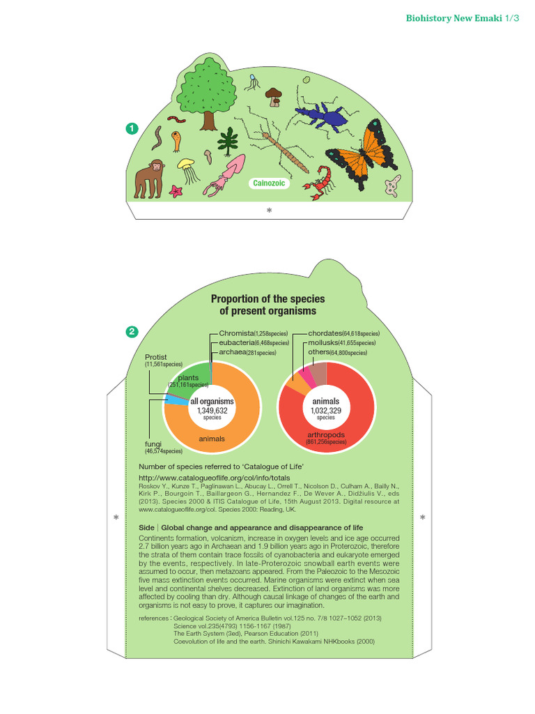Biohistory 2 | PDF | Cretaceous | Earth Sciences