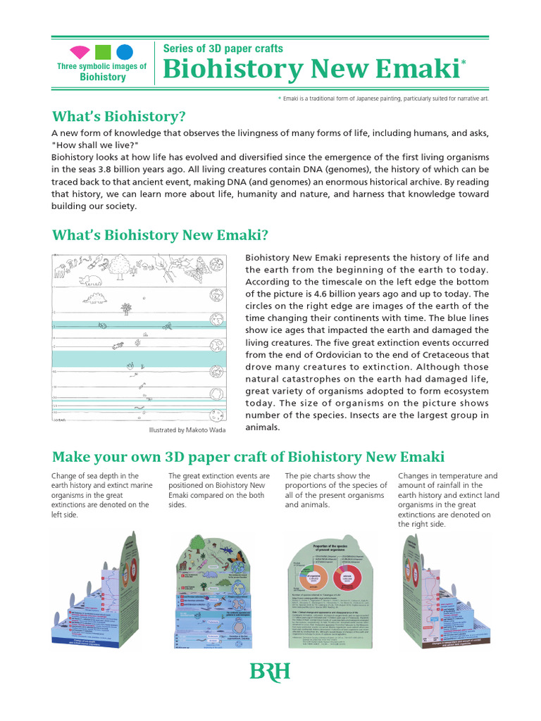 Biohistory2 Instrucciones | PDF | Earth | Earth Sciences