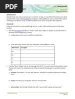 Virus Student Worksheet Answer Key | PDF | Virus | Adenoviridae