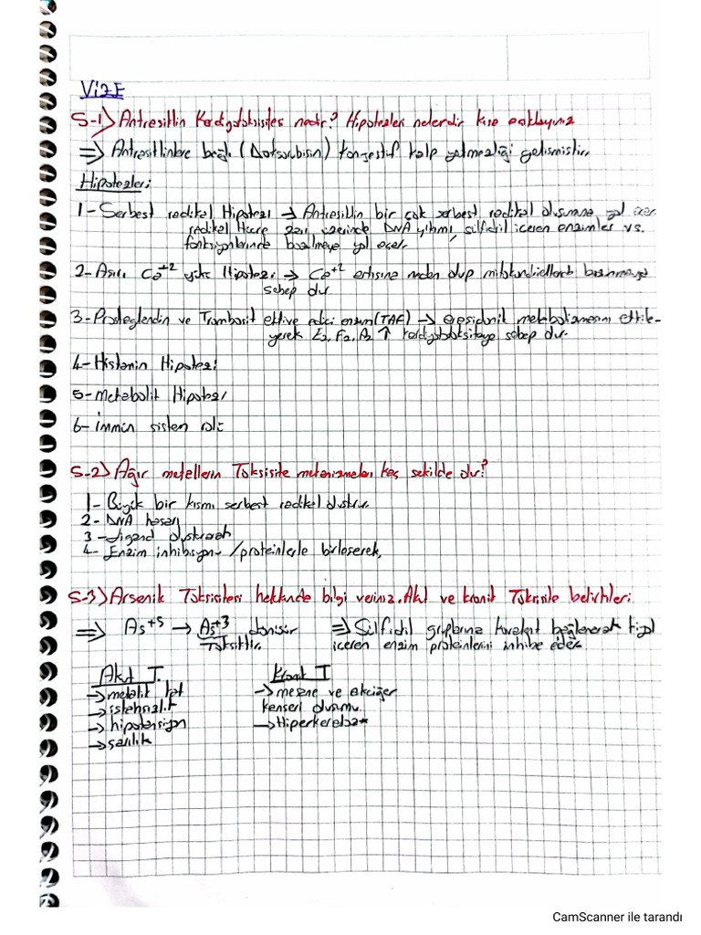 Vİze Toksi Soru | PDF