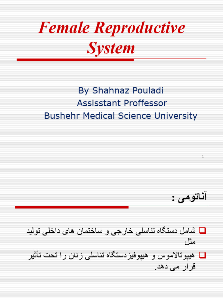 Female Reproductive System 8aa03b2b-1 | PDF