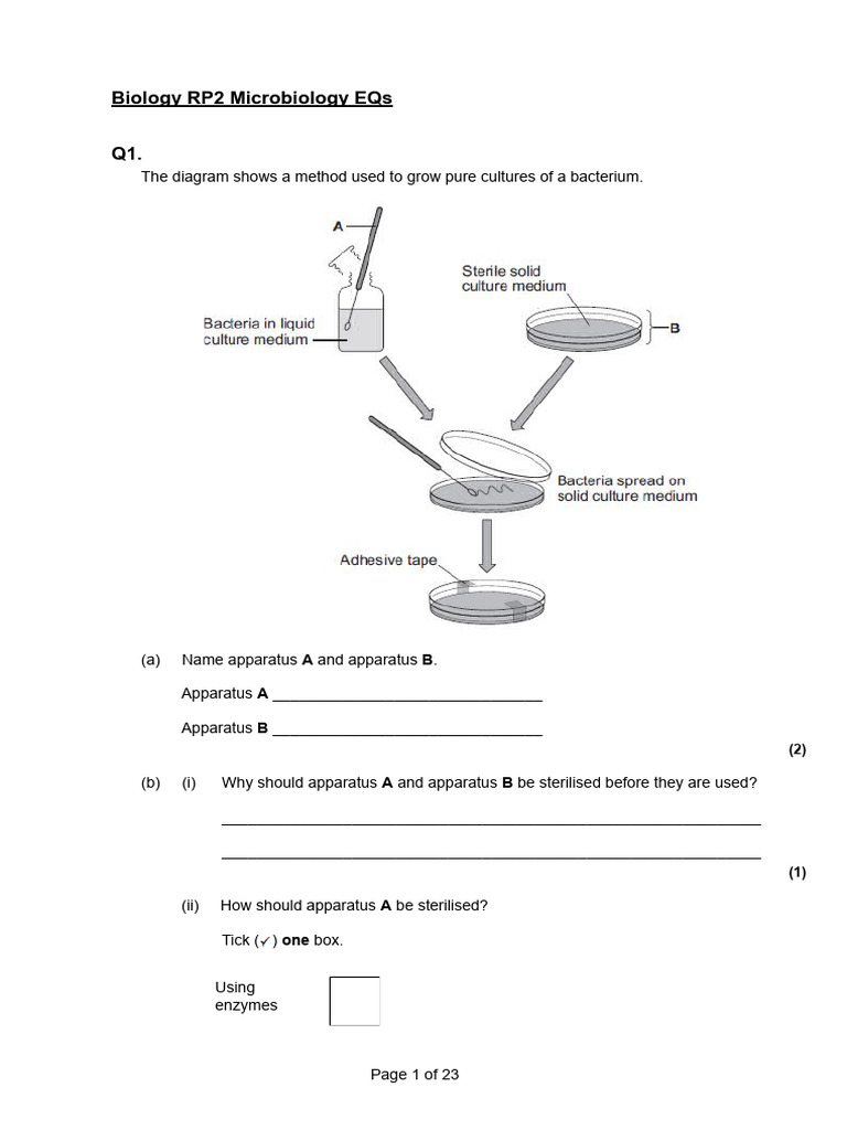 Biology RP2 Microbiology EQs | PDF | Microorganism | Bacteria