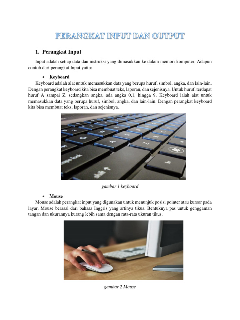 Perangkat Input dan Output Komputer | PDF