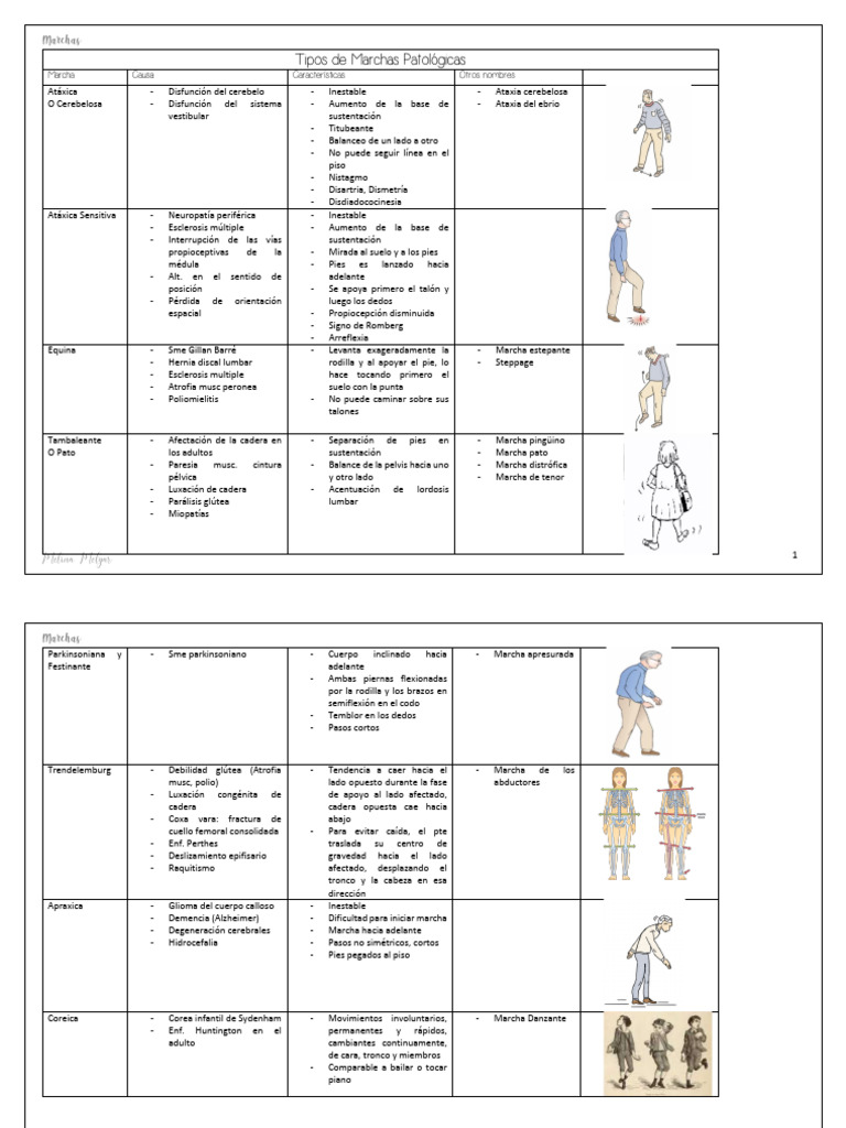 Tipos de Marcha | PDF | Sistema nervioso | Desórdenes neurológicos