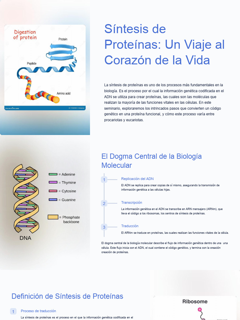 Sintesis de Proteinas Un Viaje Al Corazon de La Vida.ppt | PDF ...