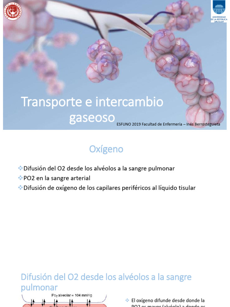 Transporte e Intercambio Gaseoso. PPT AUTODIDAXIA | PDF | Sangre | Pulmón