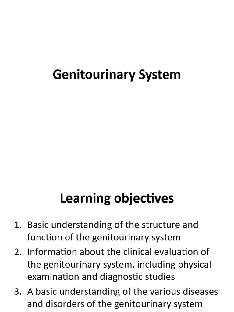 Genitourinary System | PDF | Kidney | Physical Therapy