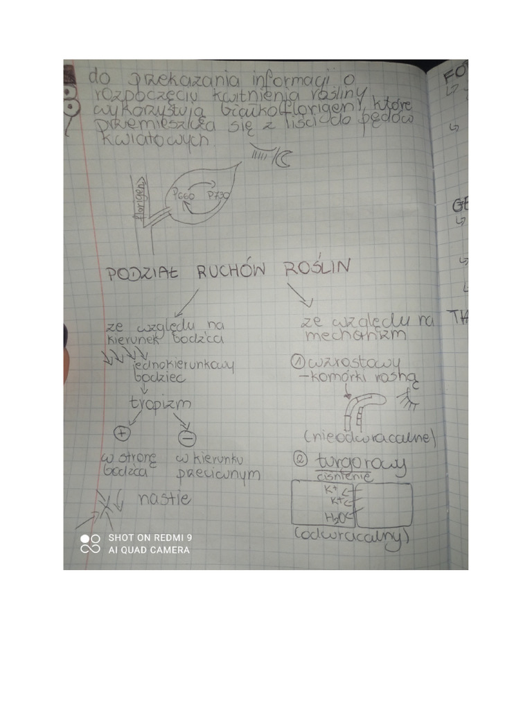 Podzial Ruchów Roślin | PDF