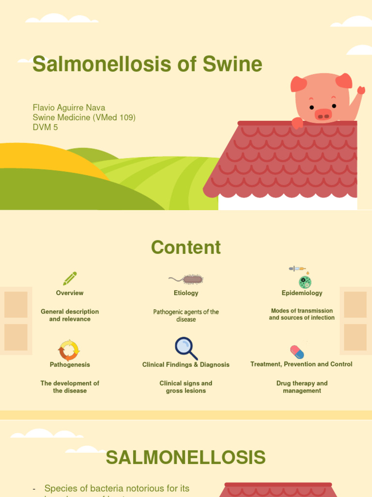 Salmonellosis | PDF | Infection | Biology