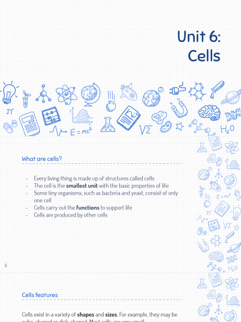 Cells | PDF | Science & Mathematics