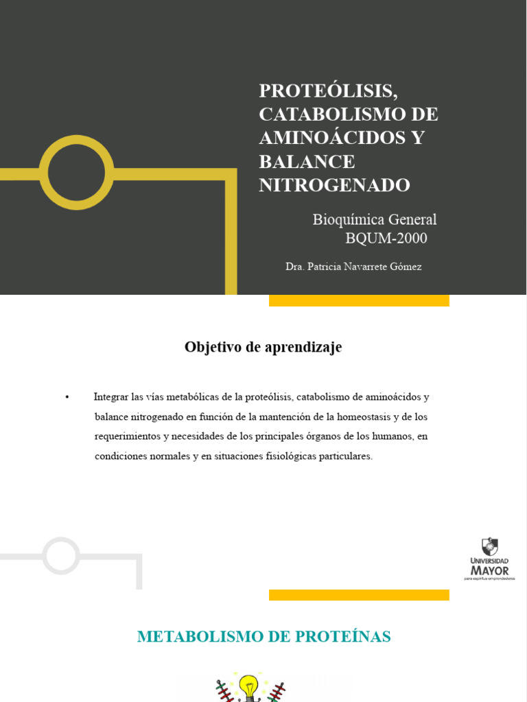 Clase Metabolismo de Proteínas | PDF | Proteólisis | Metabolismo