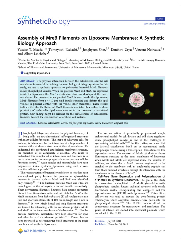 Assembly of MreB Filaments On Liposome Membranes - A - Maeda, Yusuke T ...