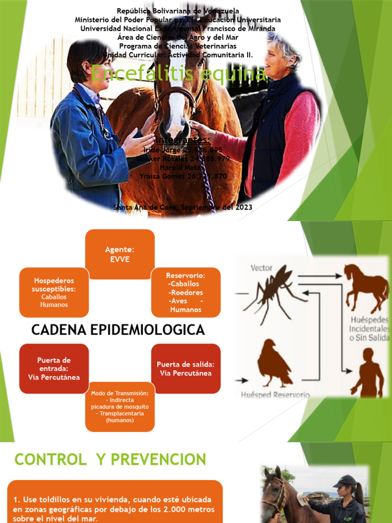 Encefalitis Equina | PDF | Medicina | Ciencias de la Salud