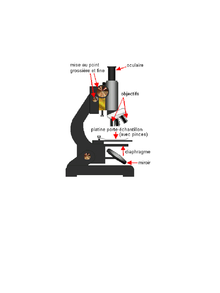 Figure Microscope | PDF