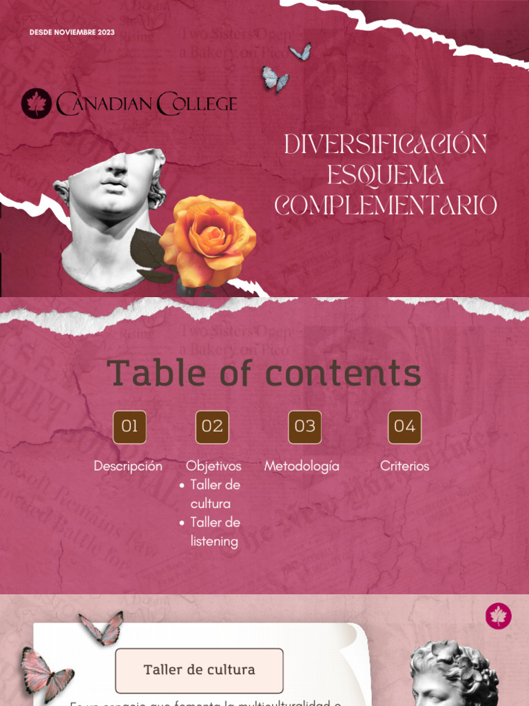 Diversificación esquema complementario Objetivos y Criterios | PDF