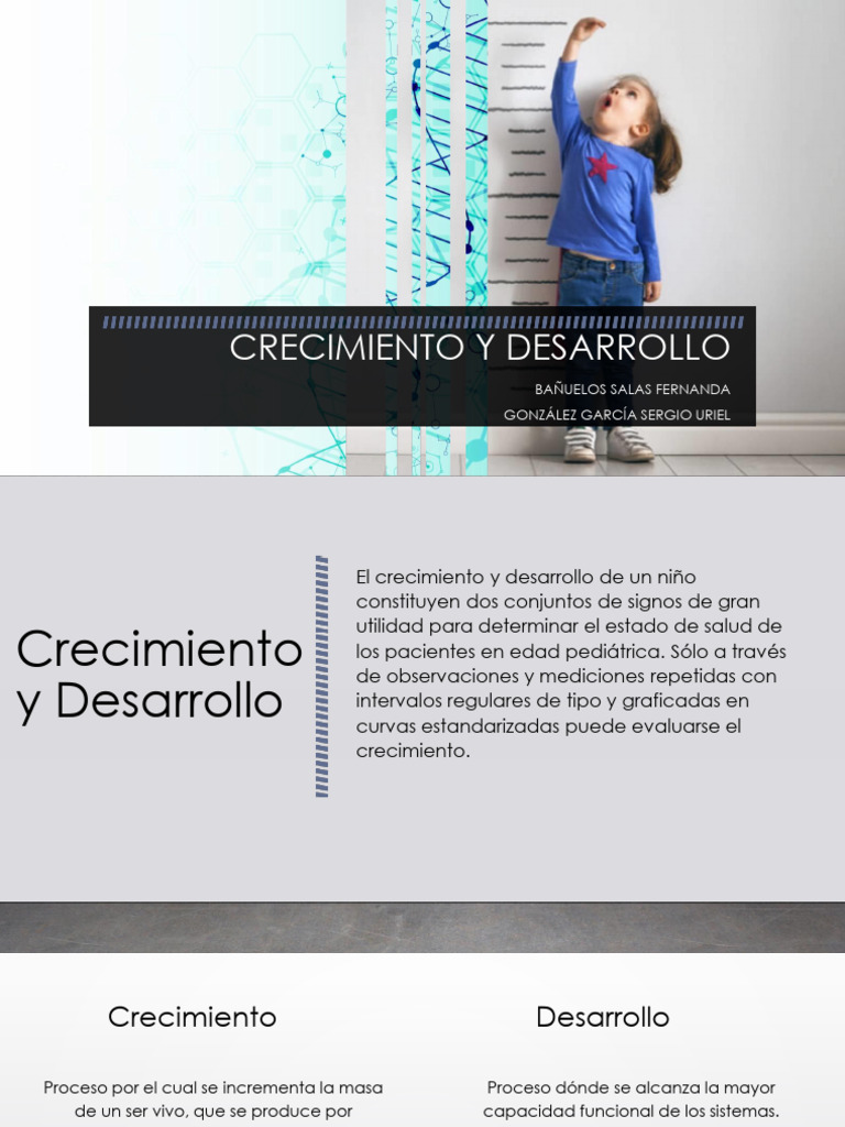 Crecimiento y Desarrollo | PDF | Axon | Mielina