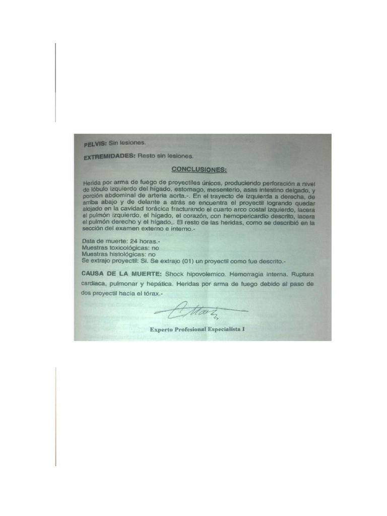 Acta de Protocolo de Autopsia 2023. | PDF