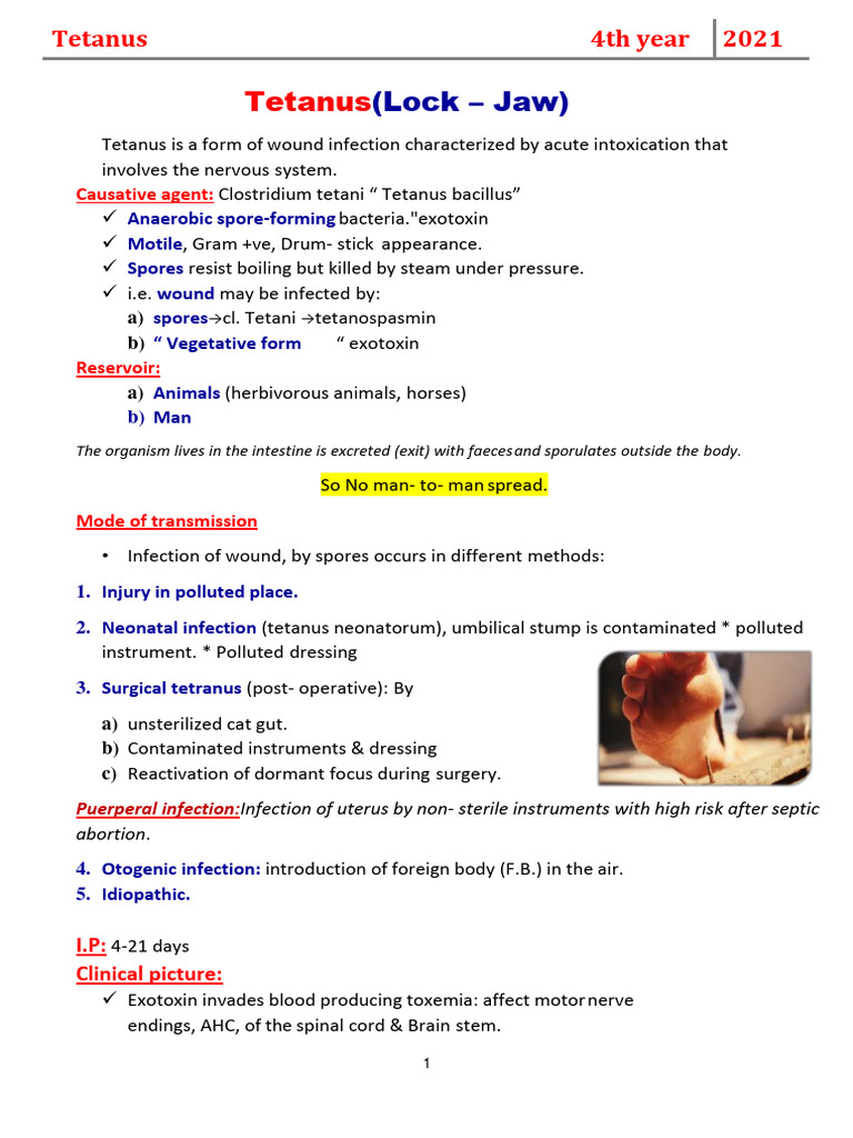 Tetanus 000077 | PDF | Surgery | Infection