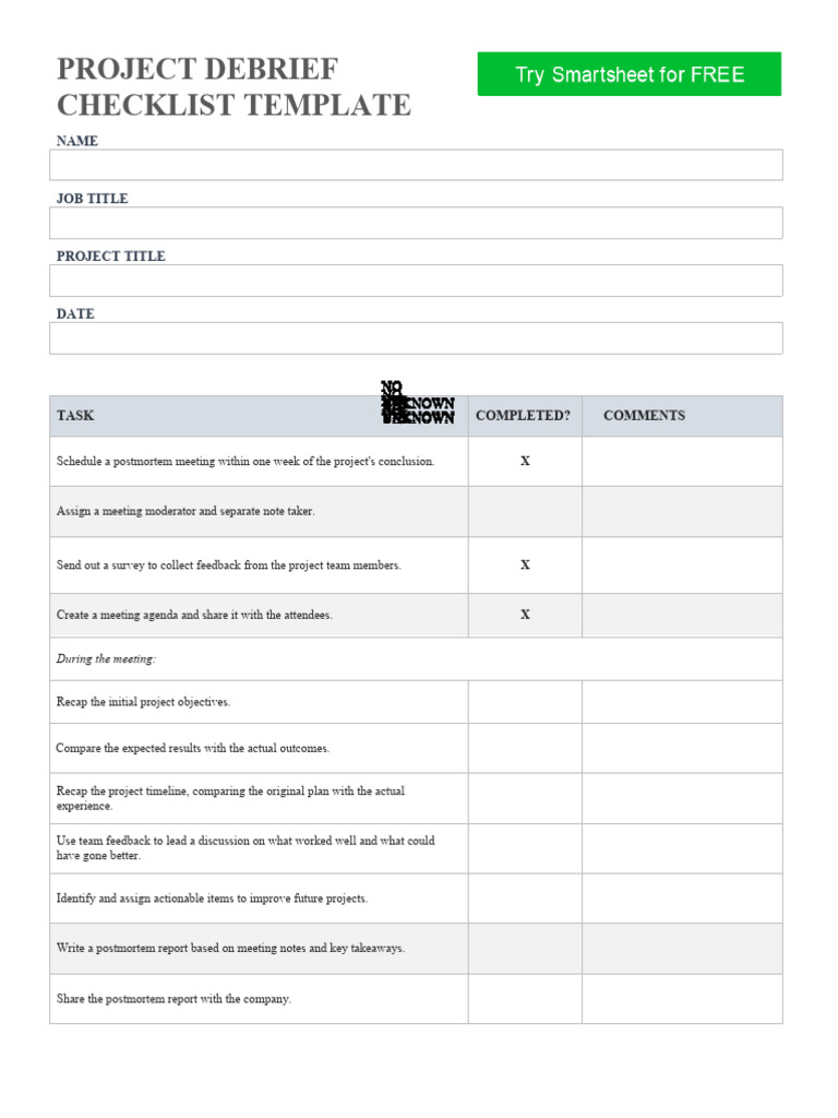 IC Project Debrief Checklist 11408 WORD | PDF