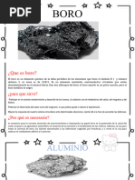 Familia Del Boro | PDF