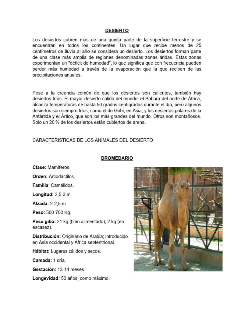 Animales Del Desierto | PDF | Suricata | Desierto