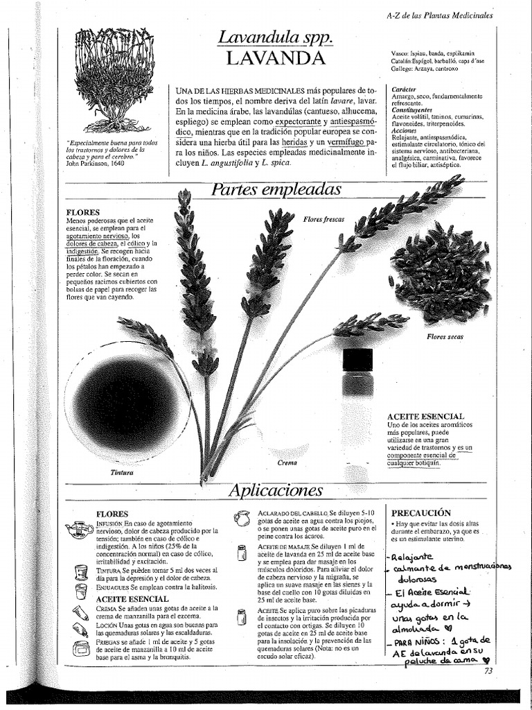 La Lavanda | PDF | Insectos | Productos cosméticos