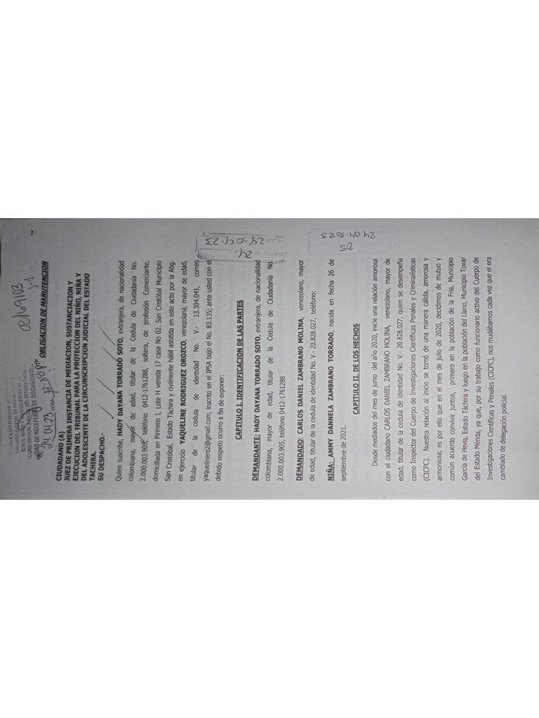 Obligación de Manutención Primer Año de Derecho | PDF