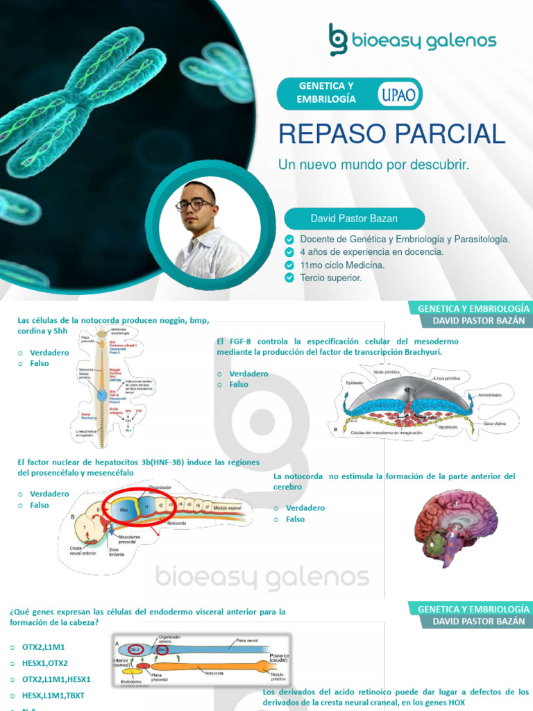 Genete y Embrio Repaso Teorico 2023-2 | PDF | Cigosidad | Gonadotropina
