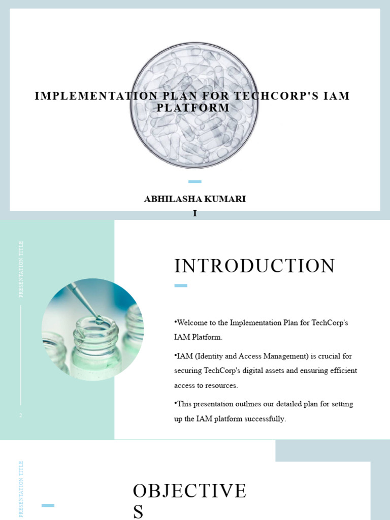 Implementation Plan For TechCorp S IAM Platform | PDF | Computer Security | Security