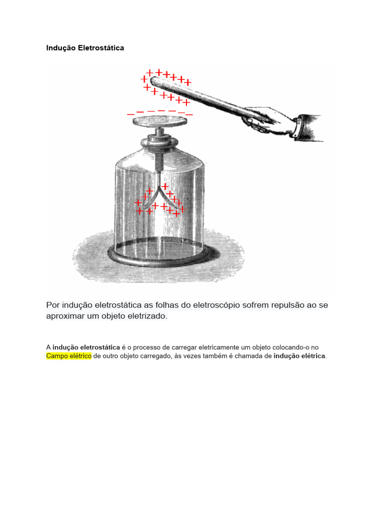 Indução Eletrostática | PDF | Carga elétrica | Eletricidade