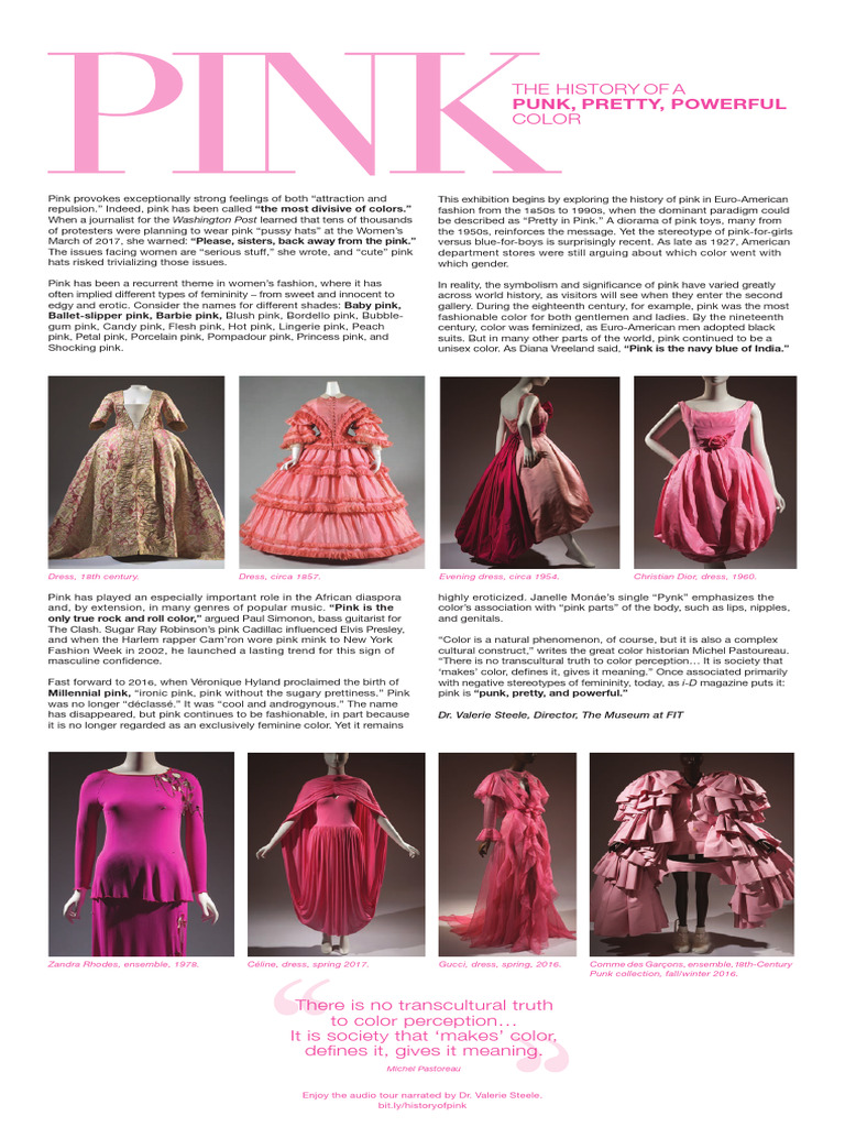 Pink_The_History_of_a_Punk_Pretty_Powerf | PDF