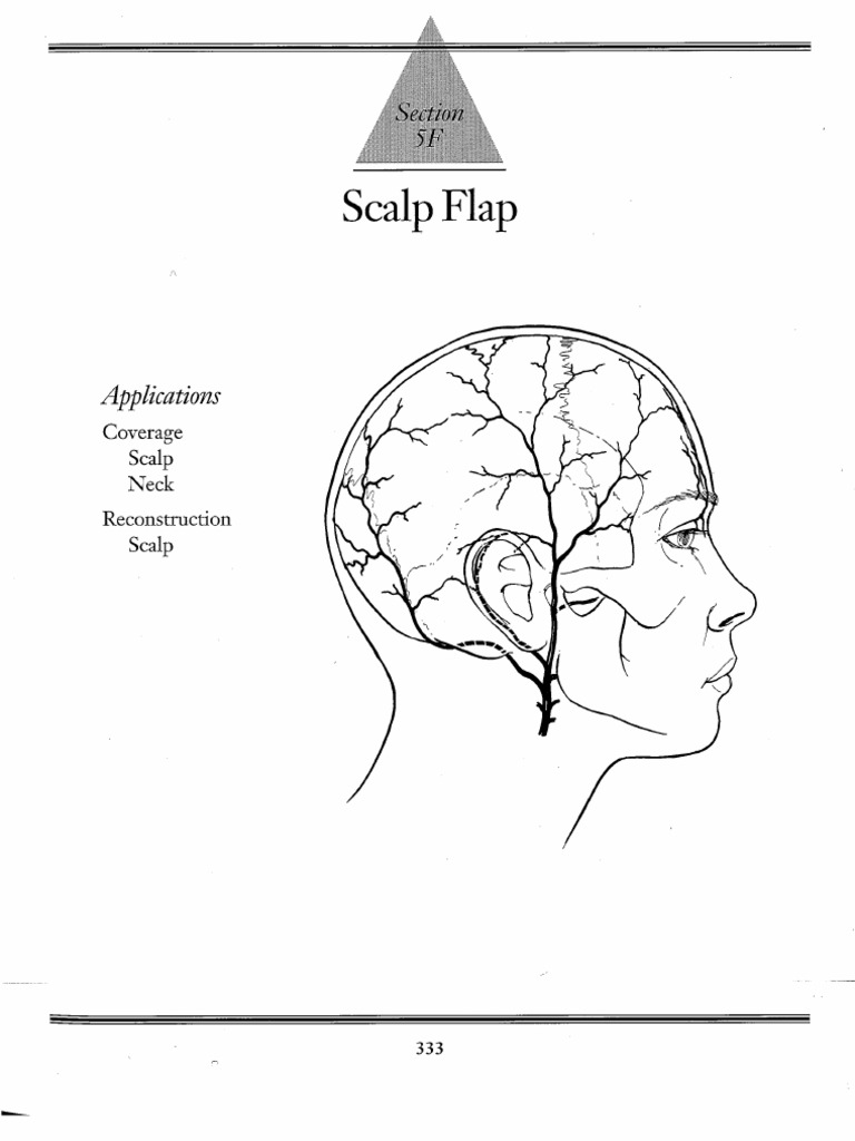 Mathes CH5 Scalp | PDF