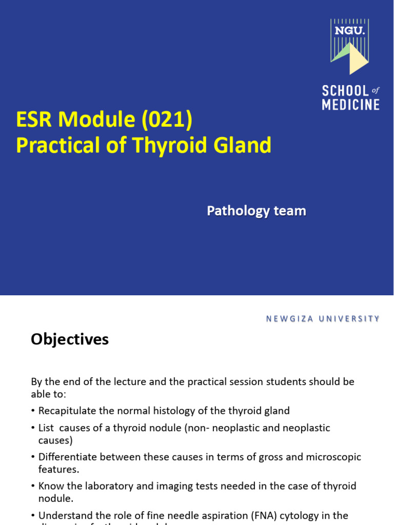 ESR (021) Practical Thyroid | PDF | Thyroid | Adenoma