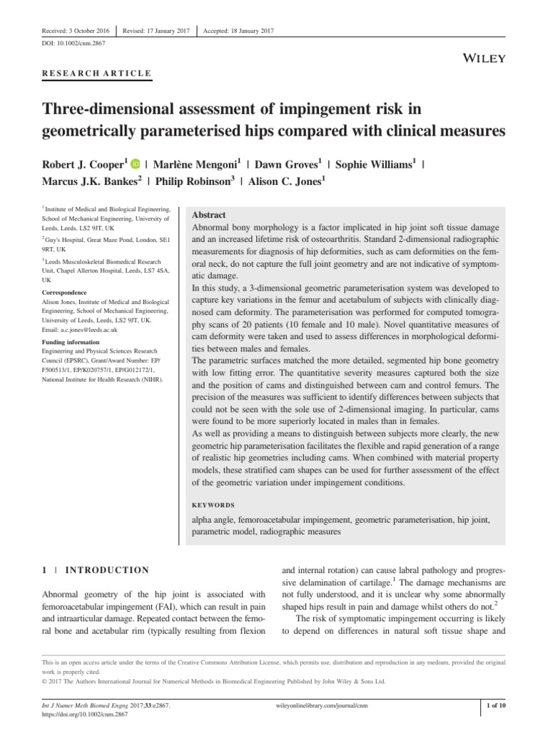Three Dimensional Assessment Of Impingement Risk In Geometrically