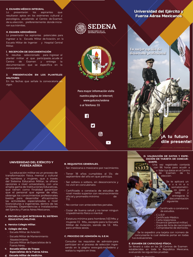 Triptico UDEFA 7 Jun. 2024 | PDF