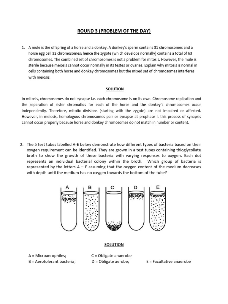 Science Problem Solving Guide | PDF | Meiosis | Biology
